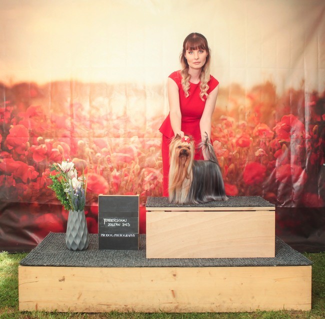 2023 :: Chevia-stars