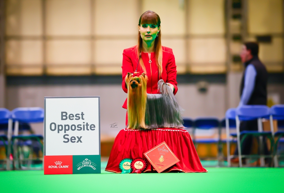 Hartik :: Chevia-stars